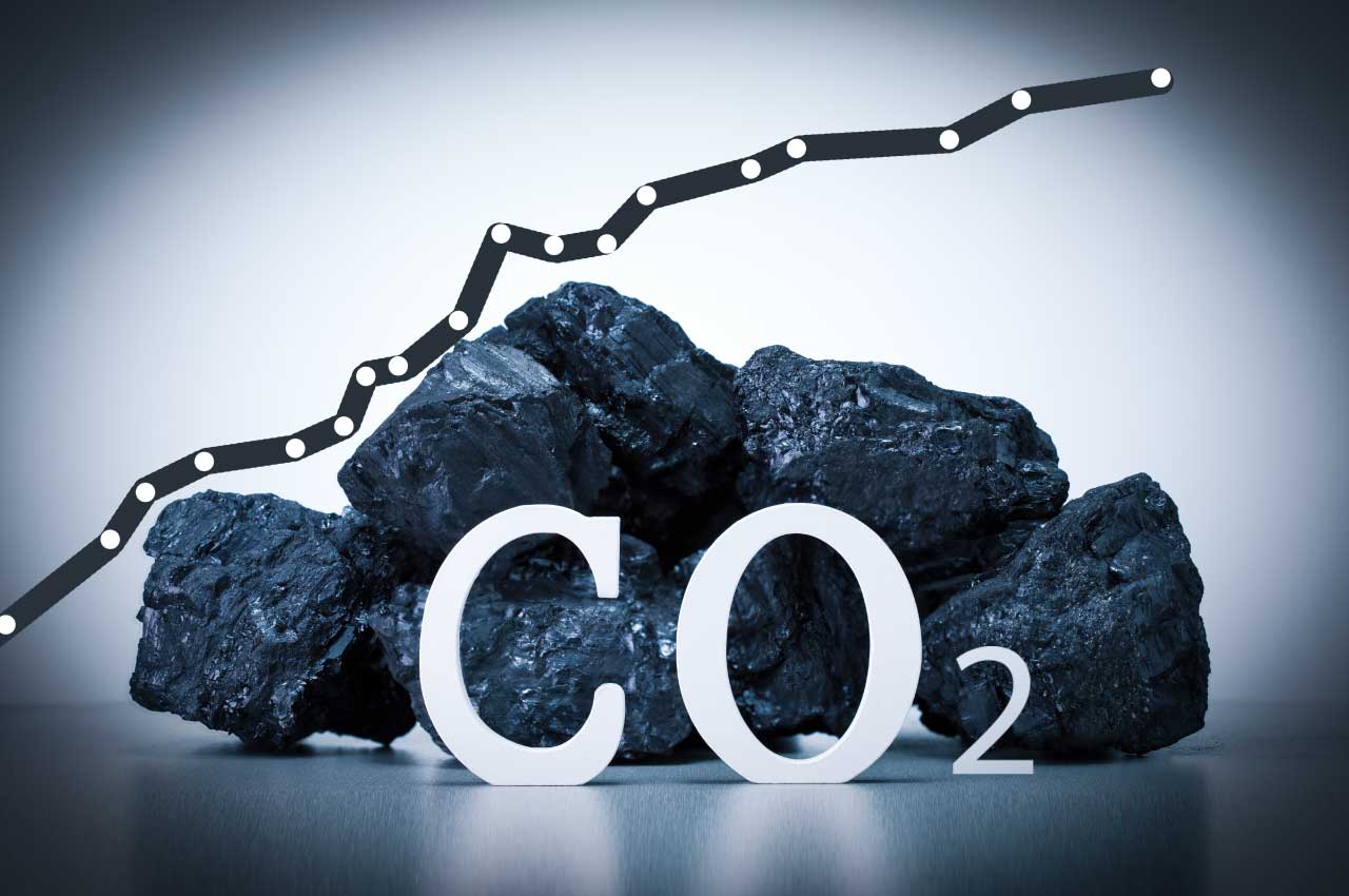 Services – Sustain Arabia Group