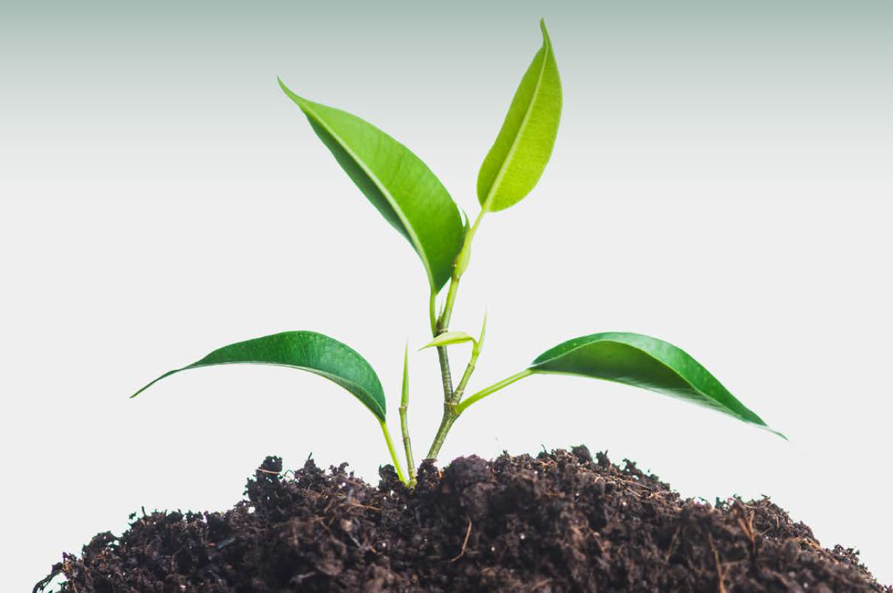 Sustain Arabia Group – Investing in Sustainable Future